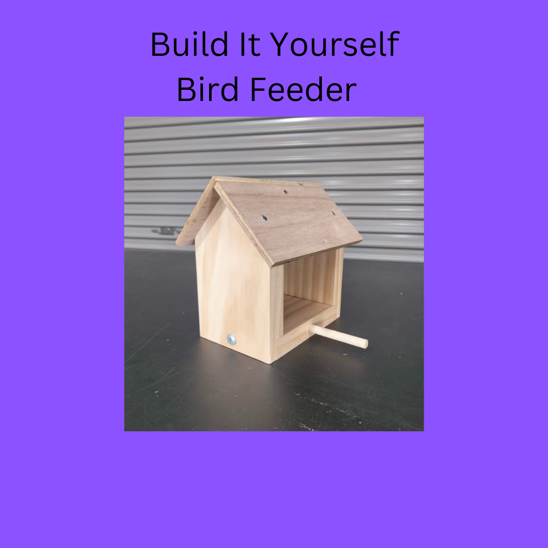 Build It Yourself Bird Feeder – The Kid's Shed